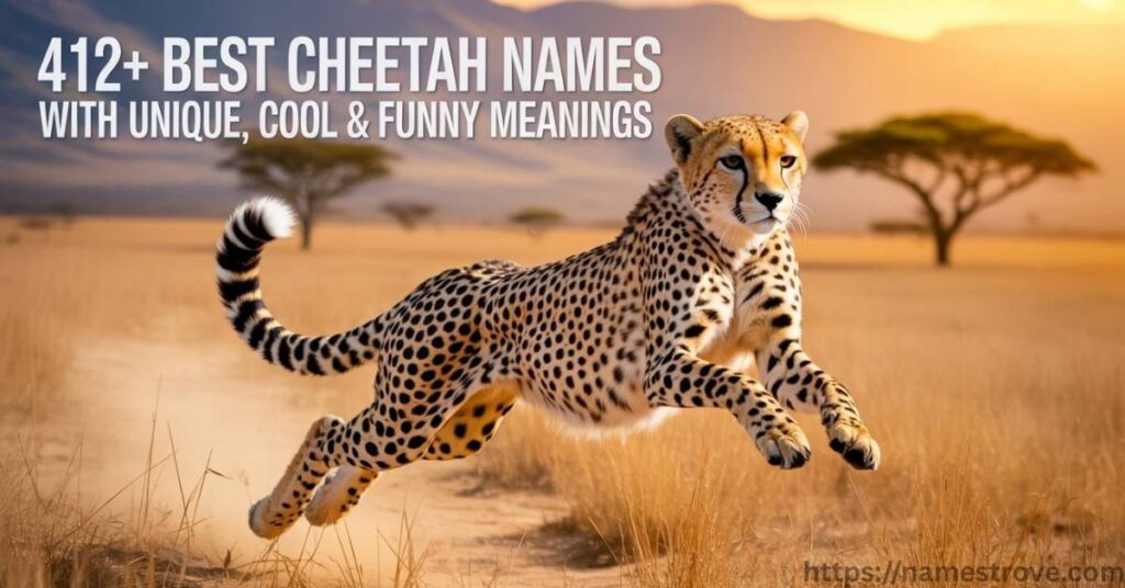 412+ Best Cheetah Names with Unique, Cool & Funny Meanings - Names Trove