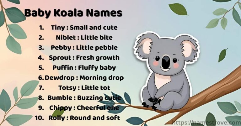 428+ Best Koala Names: Cute, Funny & Unique Ideas 2025 - Names Trove