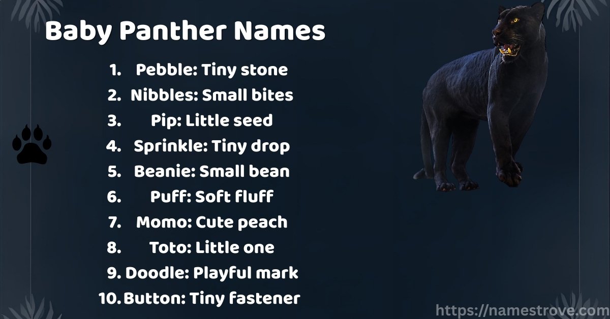 460+ Panther Names: Cool, Cute, Funny & Unique Ideas - Names Trove