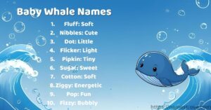 Best Whale Names: 408+ Unique Ocean Giant Ideas - Names Trove