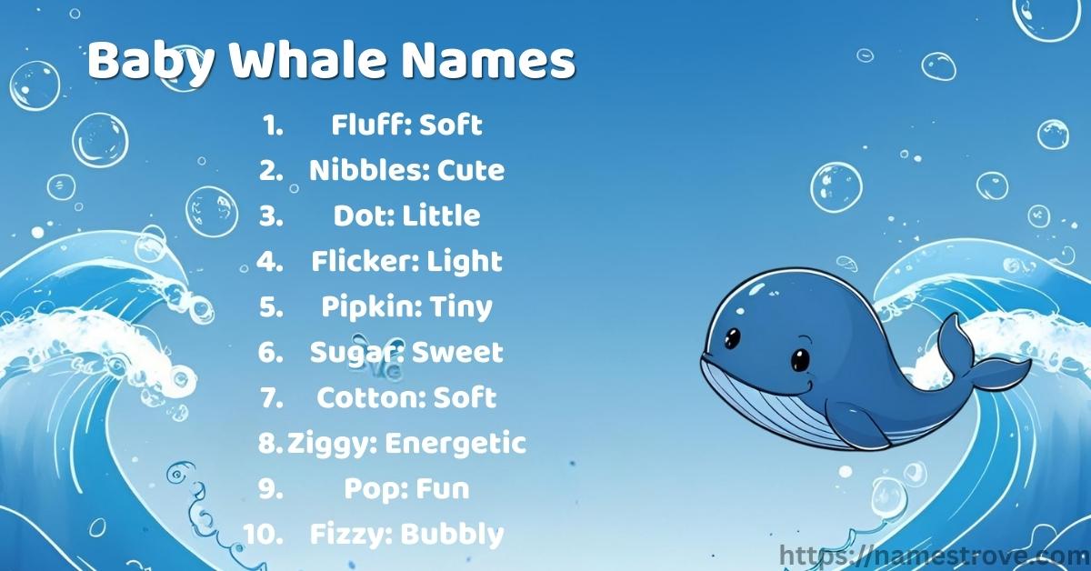 Best Whale Names: 408+ Unique Ocean Giant Ideas - Names Trove