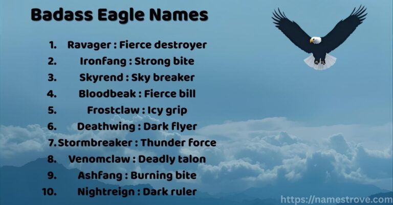 359+ Best Eagle Names: Powerful, Cool & Unique Ideas 2025 - Names Trove