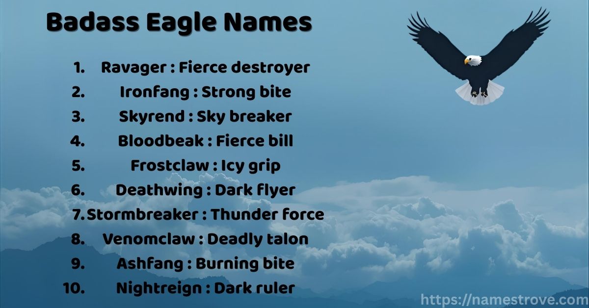 359+ Best Eagle Names: Powerful, Cool & Unique Ideas 2025 - Names Trove