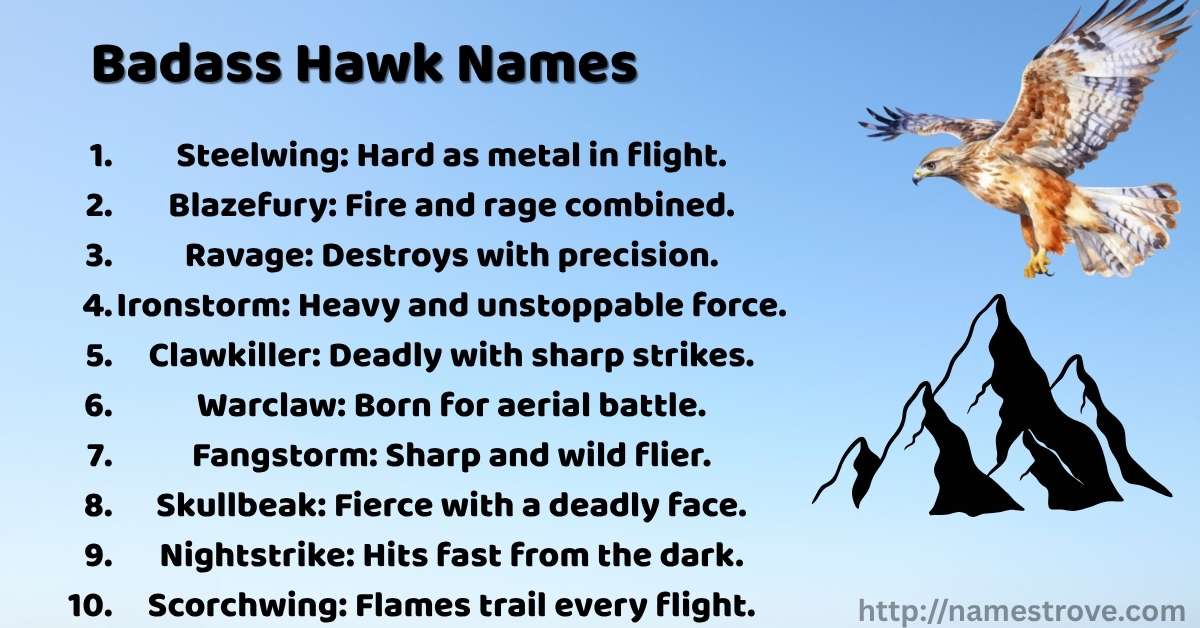 432+ Best Hawk Names with Meanings [2025 Ultimate Guide] - Names Trove