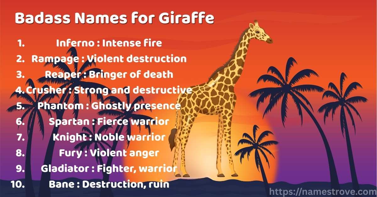 363+ Best Giraffe Names: Cute, Funny & Unique Ideas - Names Trove