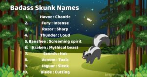 380+ Creative Skunk Names: Fun Ideas With Meanings - Names Trove