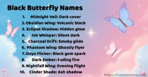 440+ Butterfly Names: Cute, Cool, Unique & Creative Picks - Names Trove