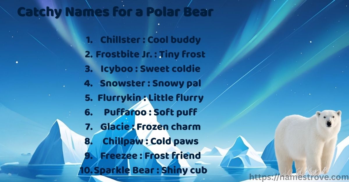 411+ Best Polar Bear Names: Cute, Cool & Unique Ideas - Names Trove