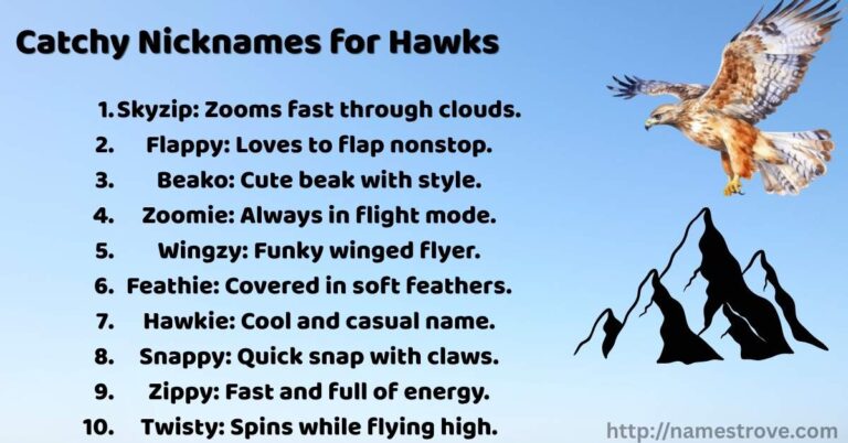 432+ Best Hawk Names with Meanings [2025 Ultimate Guide] - Names Trove