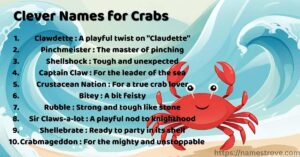 315+ Best Crab Names: Creative Ideas for Your Pet (2025) - Names Trove