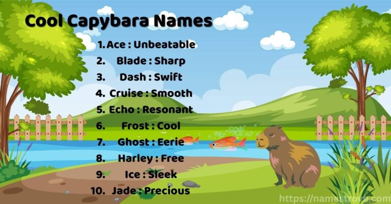 319+ Best Capybara Names: Cute, Funny & Unique Ideas! - Names Trove