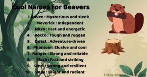 329+ Best Beaver Names: Cute, Cool & Unique Ideas - Names Trove