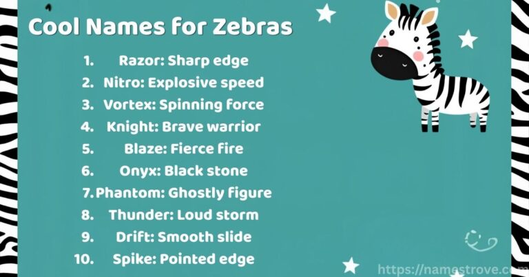 374+ Best Zebra Names: Cute, Cool & Unique Ideas (2025) - Names Trove