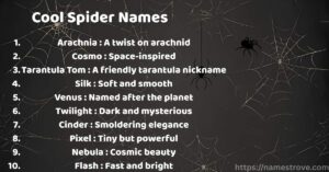 320+ Spider Names 2026: Cute, Cool & Unique ideas - Names Trove