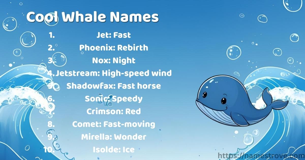 Best Whale Names: 408+ Unique Ocean Giant Ideas - Names Trove