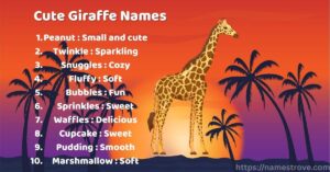 363+ Best Giraffe Names: Cute, Funny & Unique Ideas - Names Trove