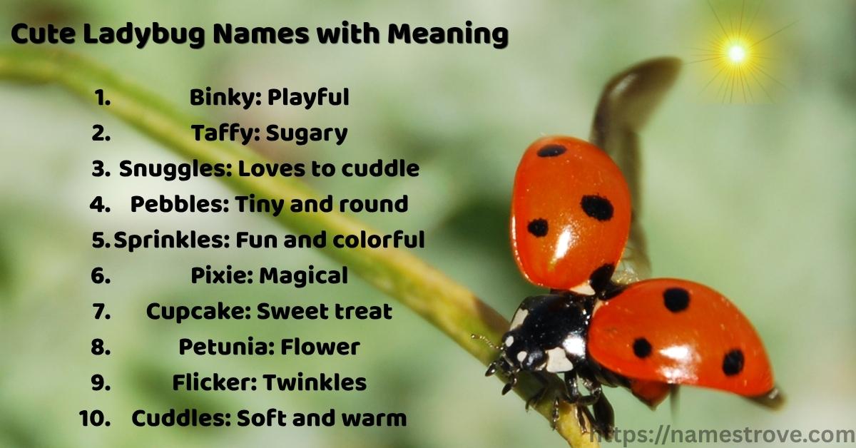 297+ Best Ladybug Names: Cool, Cute & Unique Ideas - Names Trove