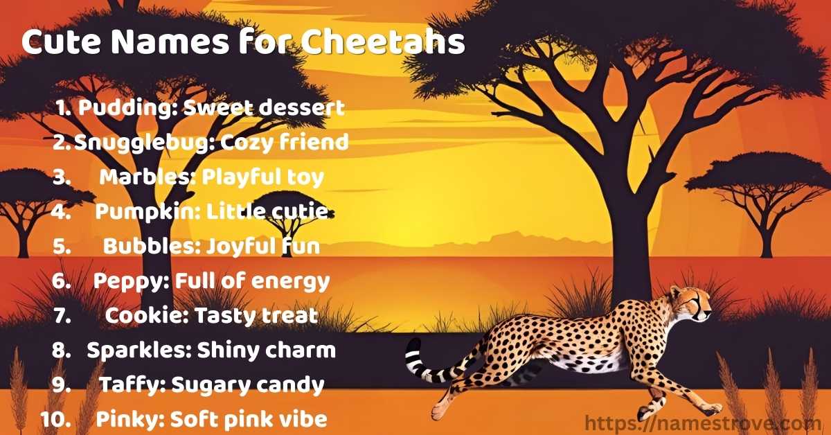 412+ Best Cheetah Names with Unique, Cool & Funny Meanings - Names Trove