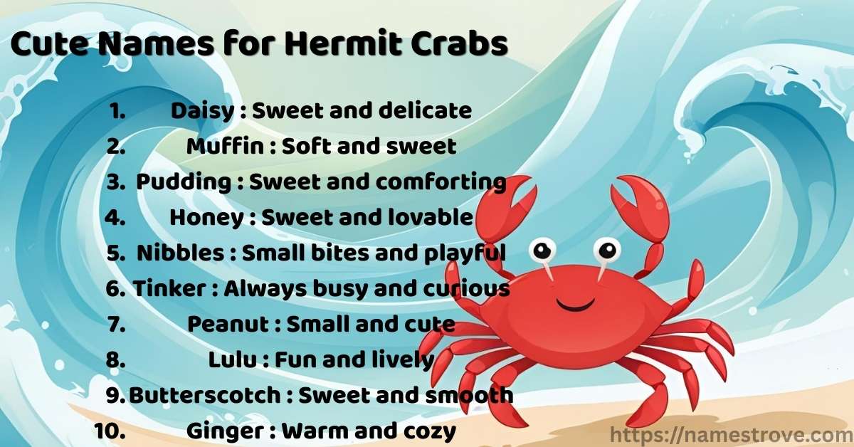 315+ Best Crab Names: Creative Ideas for Your Pet (2025) - Names Trove
