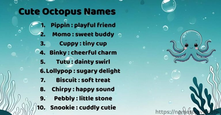 363+ Best Octopus Names: Cute, Funny, Cool & Unique Ideas - Names Trove
