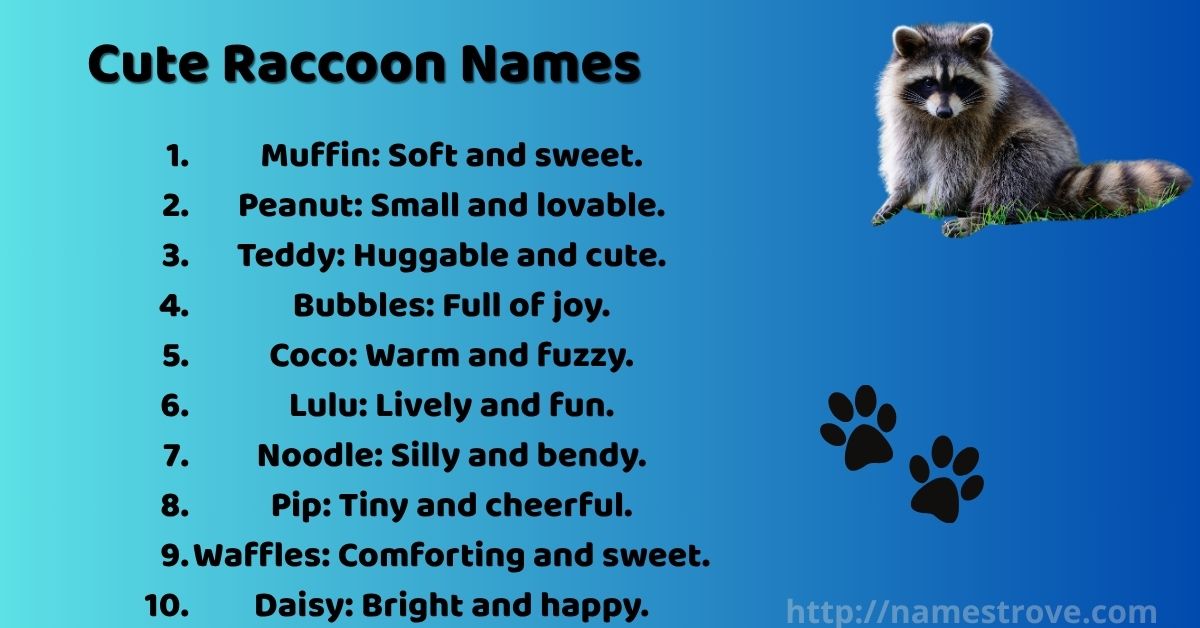 334+ Best Raccoon Names: Cute, Cool & Unique Ideas (2026) - Names Trove