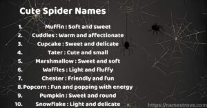 320+ Spider Names 2026: Cute, Cool & Unique ideas - Names Trove