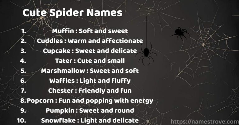320+ Best Spider Names: Unique, Cool & Creative Ideas - Names Trove