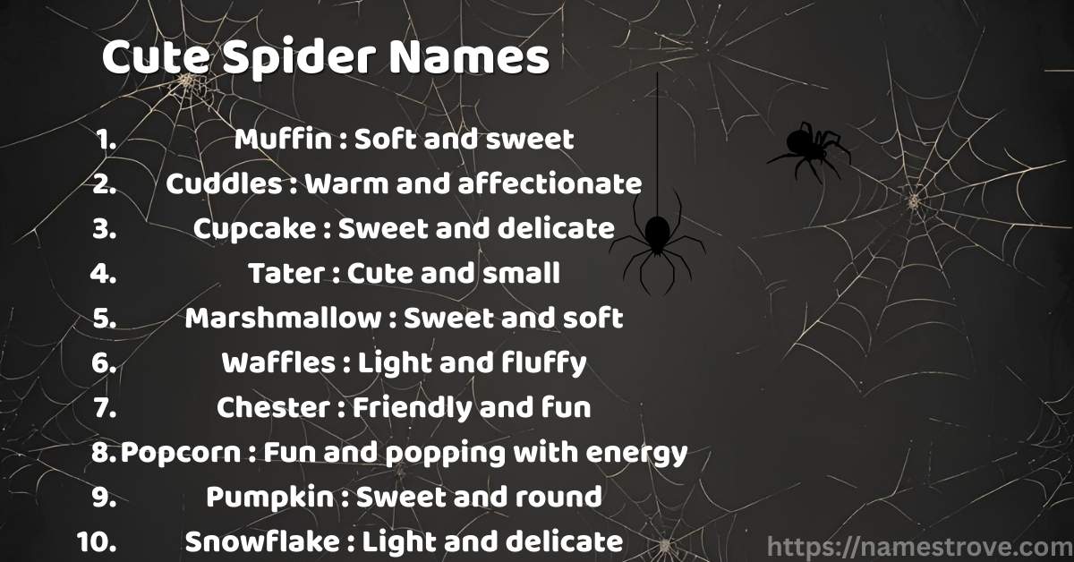 320+ Spider Names 2026: Cute, Cool & Unique ideas - Names Trove