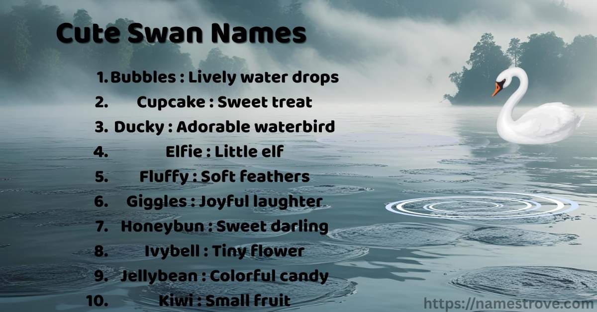 450+ Best Swan Names: Cute, Cool & Meaningful Ideas - Names Trove