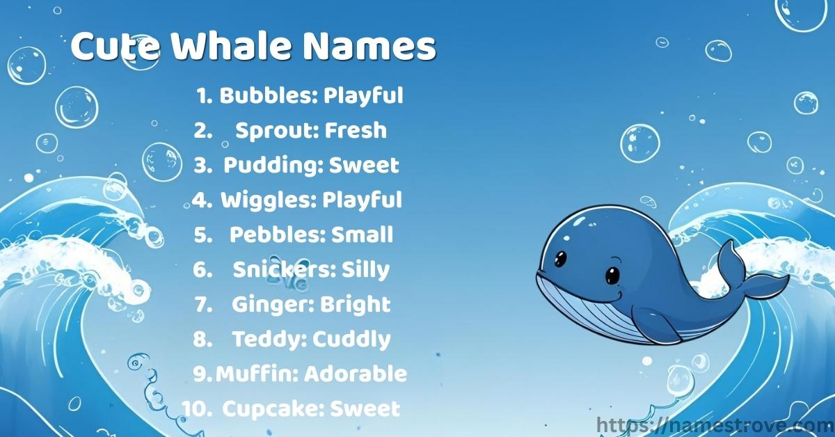 Best Whale Names: 408+ Unique Ocean Giant Ideas - Names Trove
