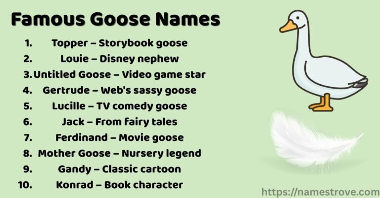 Goose Names With Meaning [397+ Best Ideas for 2025] - Names Trove