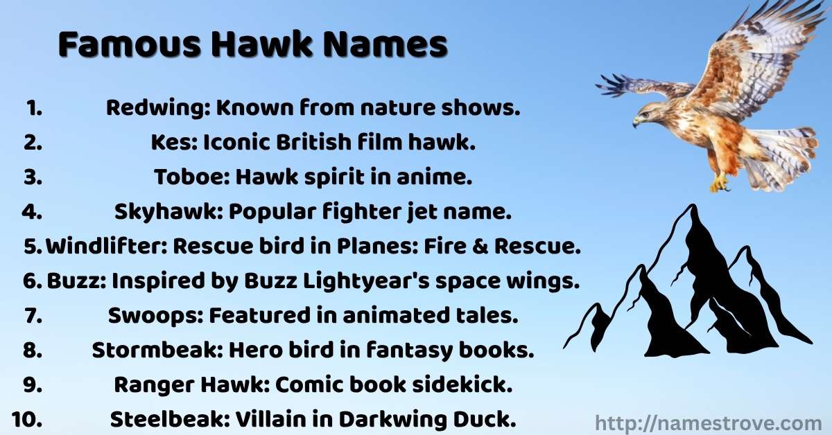 432+ Best Hawk Names with Meanings [2025 Ultimate Guide] - Names Trove