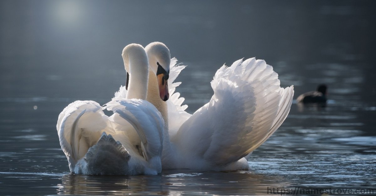 450+ Best Swan Names: Cute, Cool & Meaningful Ideas - Names Trove