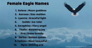 359+ Best Eagle Names: Powerful, Cool & Unique Ideas 2025 - Names Trove