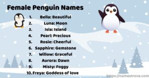 435+ Cute Penguin Names (2026) That Melt Your Heart Instantly - Names Trove