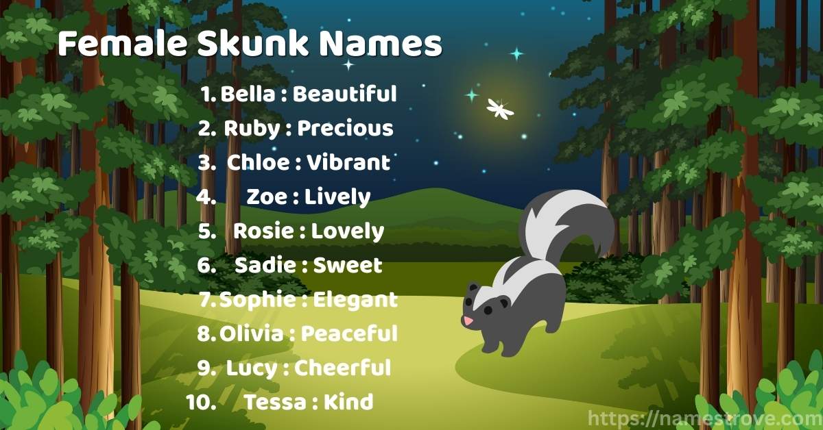 380+ Creative Skunk Names: Fun Ideas With Meanings - Names Trove