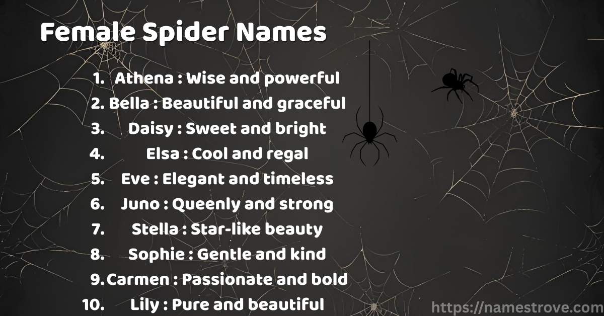 320+ Spider Names 2026: Cute, Cool & Unique ideas - Names Trove