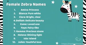 374+ Best Zebra Names: Cute, Cool & Unique Ideas (2025) - Names Trove