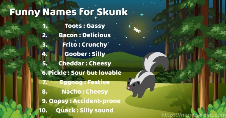 380+ Creative Skunk Names: Fun Ideas With Meanings - Names Trove