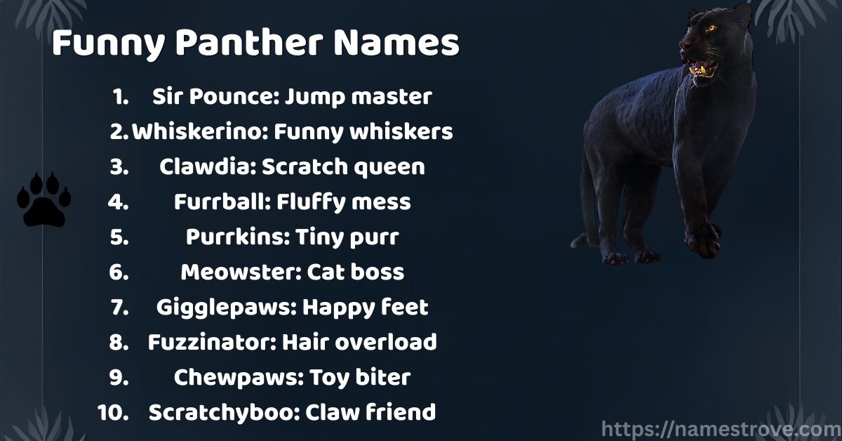 460+ Panther Names: Cool, Cute, Funny & Unique Ideas - Names Trove