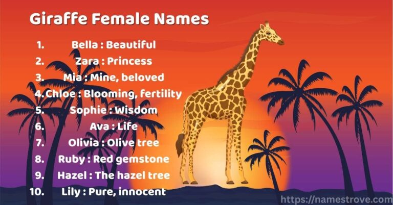 363+ Best Giraffe Names: Cute, Funny & Unique Ideas - Names Trove