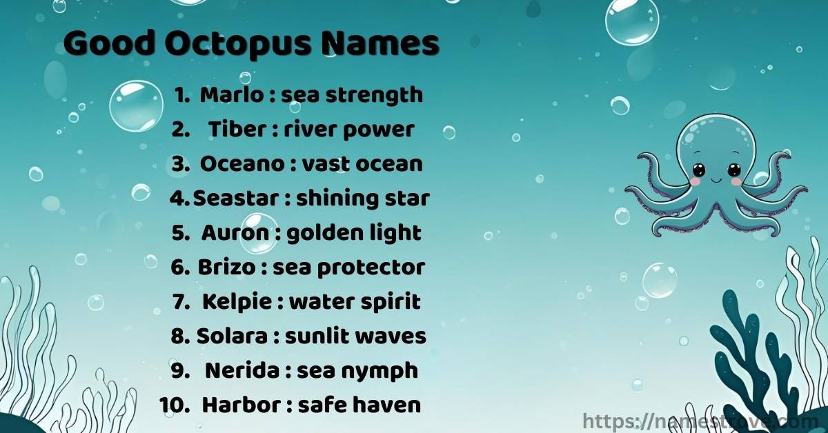 363+ Best Octopus Names: Cute, Funny, Cool & Unique Ideas - Names Trove
