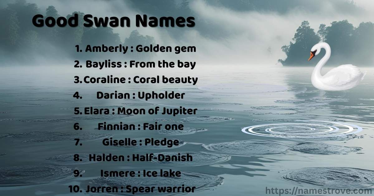 450+ Best Swan Names: Cute, Cool & Meaningful Ideas - Names Trove