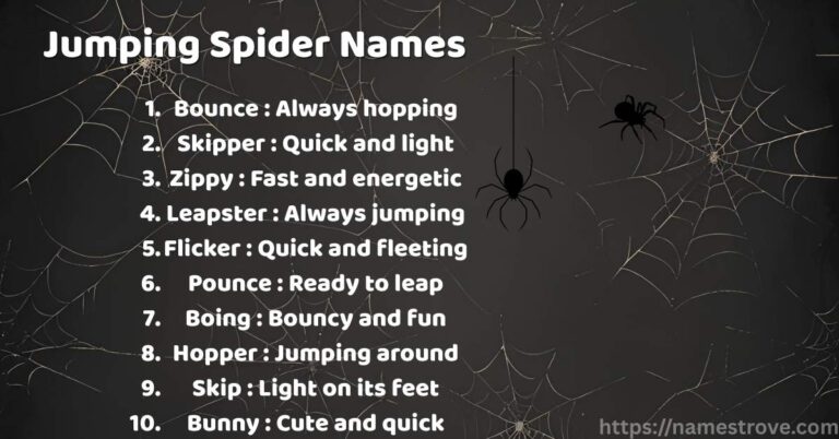 320+ Best Spider Names: Unique, Cool & Creative Ideas - Names Trove