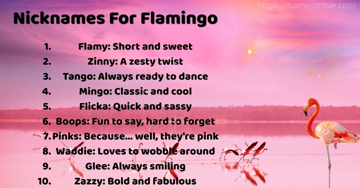 357+ Best Flamingo Names: Cute, Funny & Unique Ideas 2025 - Names Trove