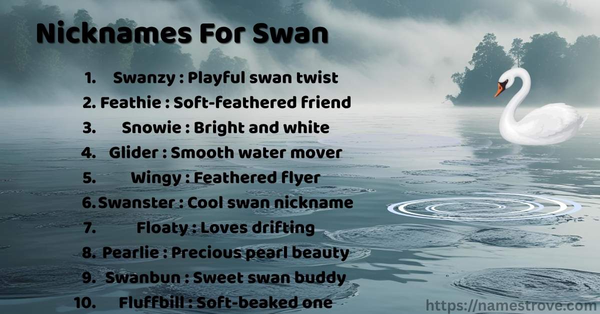 450+ Best Swan Names: Cute, Cool & Meaningful Ideas - Names Trove