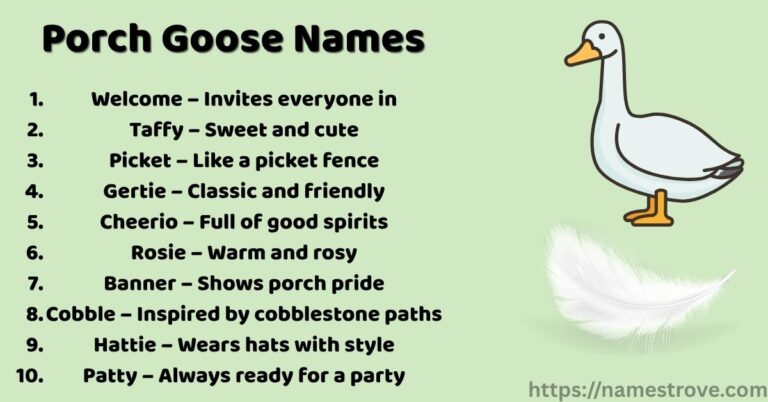 Goose Names With Meaning [397+ Best Ideas for 2025] - Names Trove