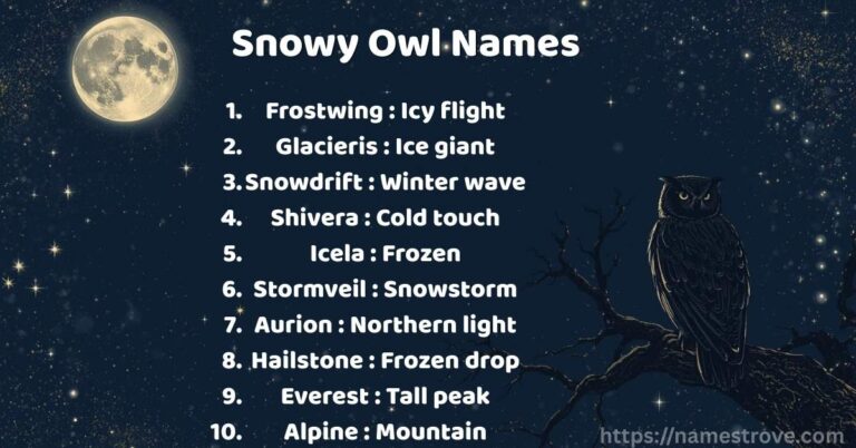 476+ Best Owl Names With Meanings (Cute, Cool & Unique) - Names Trove