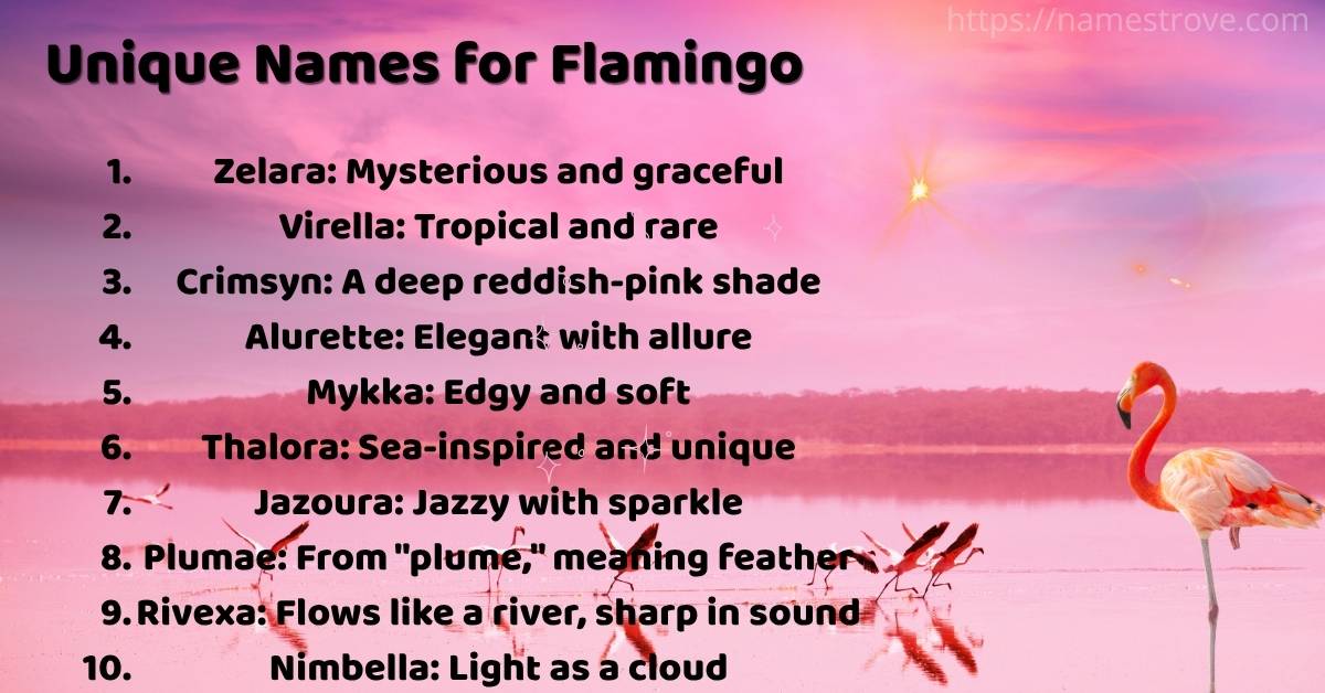 357+ Best Flamingo Names: Cute, Funny & Unique Ideas 2025 - Names Trove
