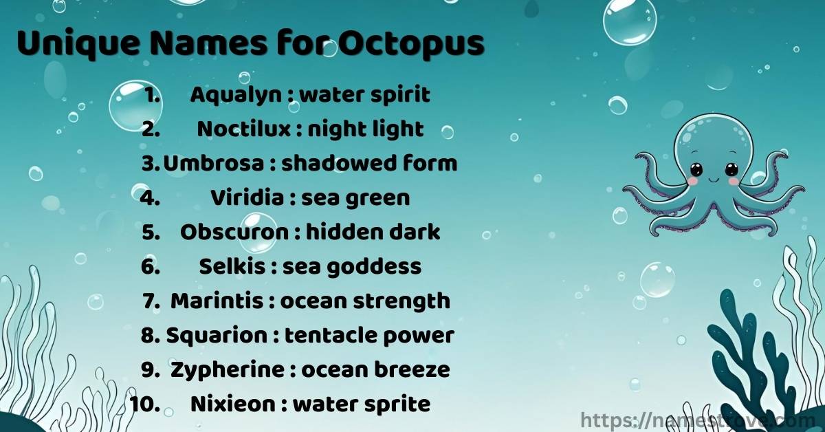 363+ Best Octopus Names: Cute, Funny, Cool & Unique Ideas - Names Trove
